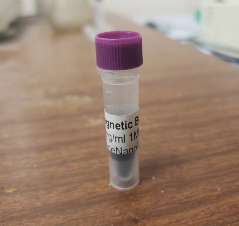 Streptavidin magnetic beads for capturing biotin High affinity 10 mg/mL ...