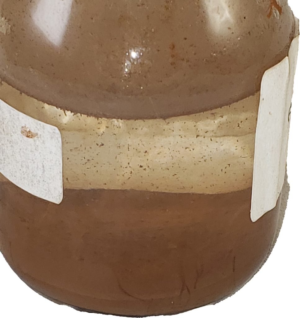 Brown Magnetic Beads coated with silica from GeneNano - GeneNano